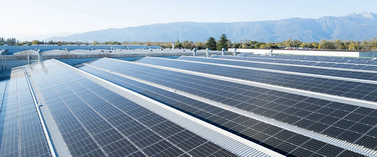 Elleci for a Sustainable Future